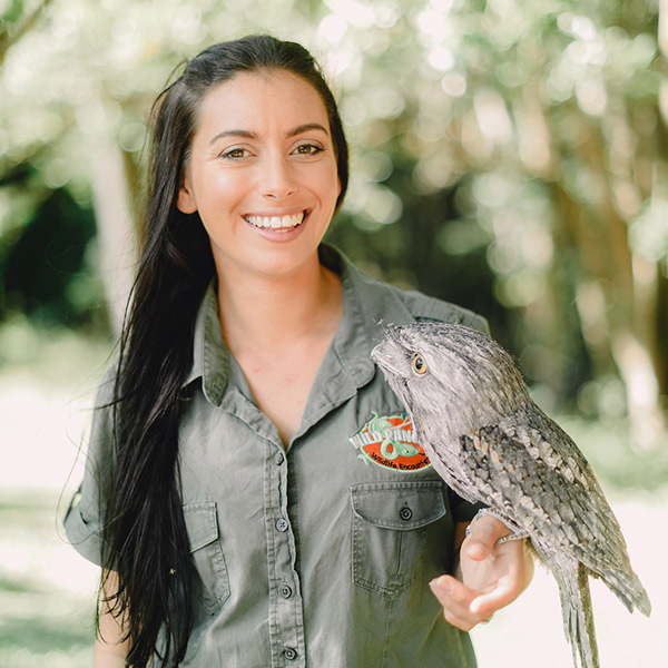 Wild Rangers - Party Lane