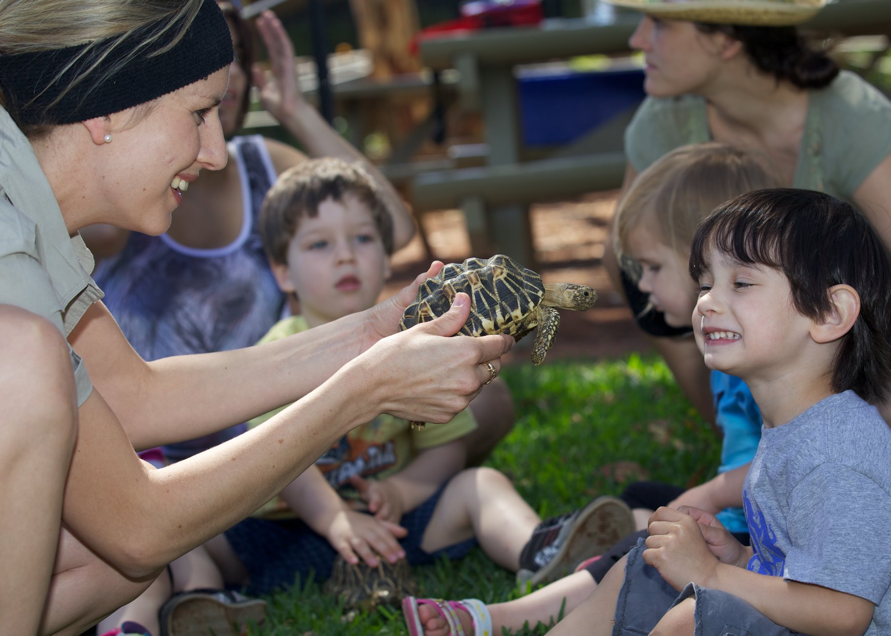 Australian Reptile Park - Party Lane